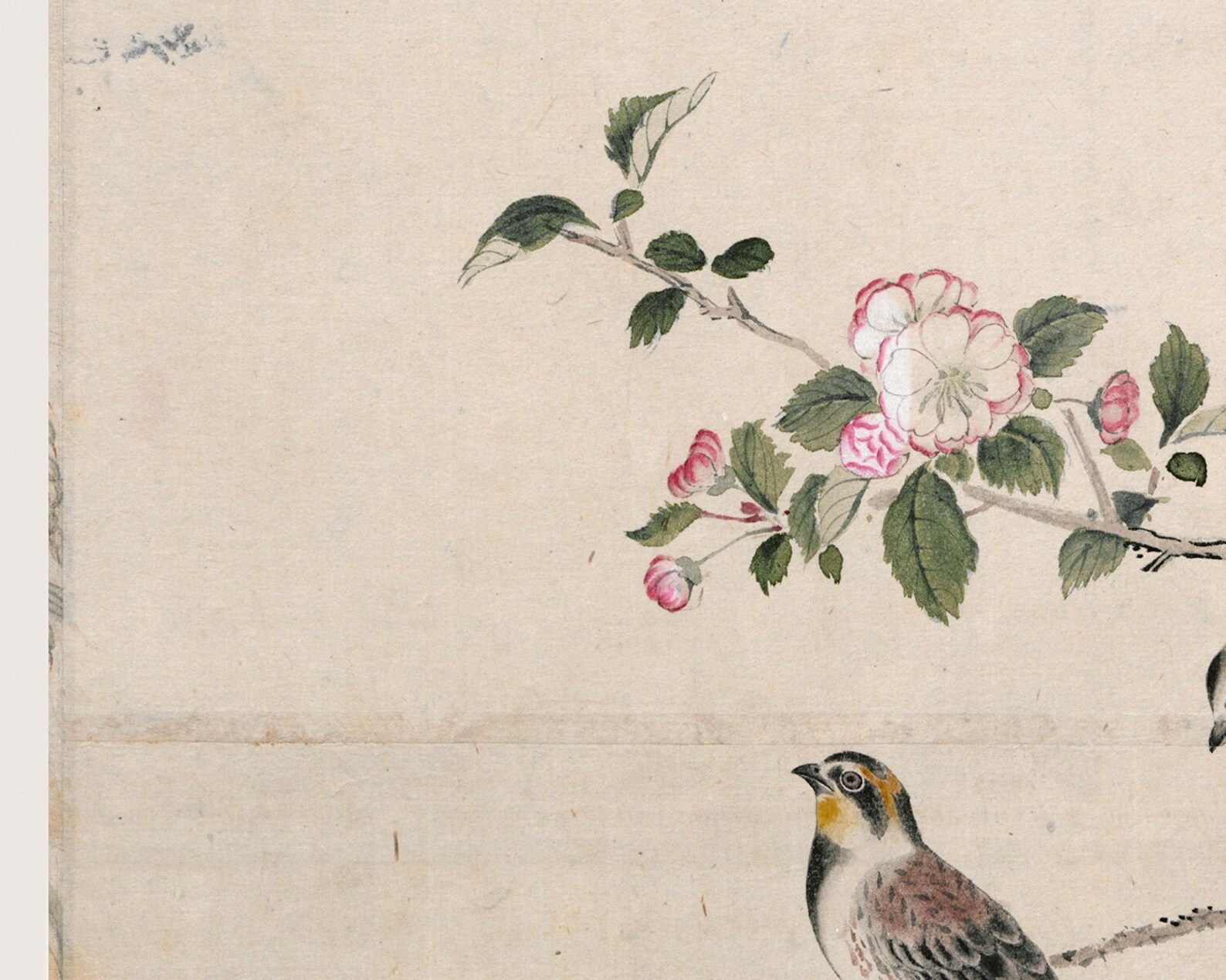 Japanese Bird Art Print / Vintage Art / Botanical Prints / - Etsy