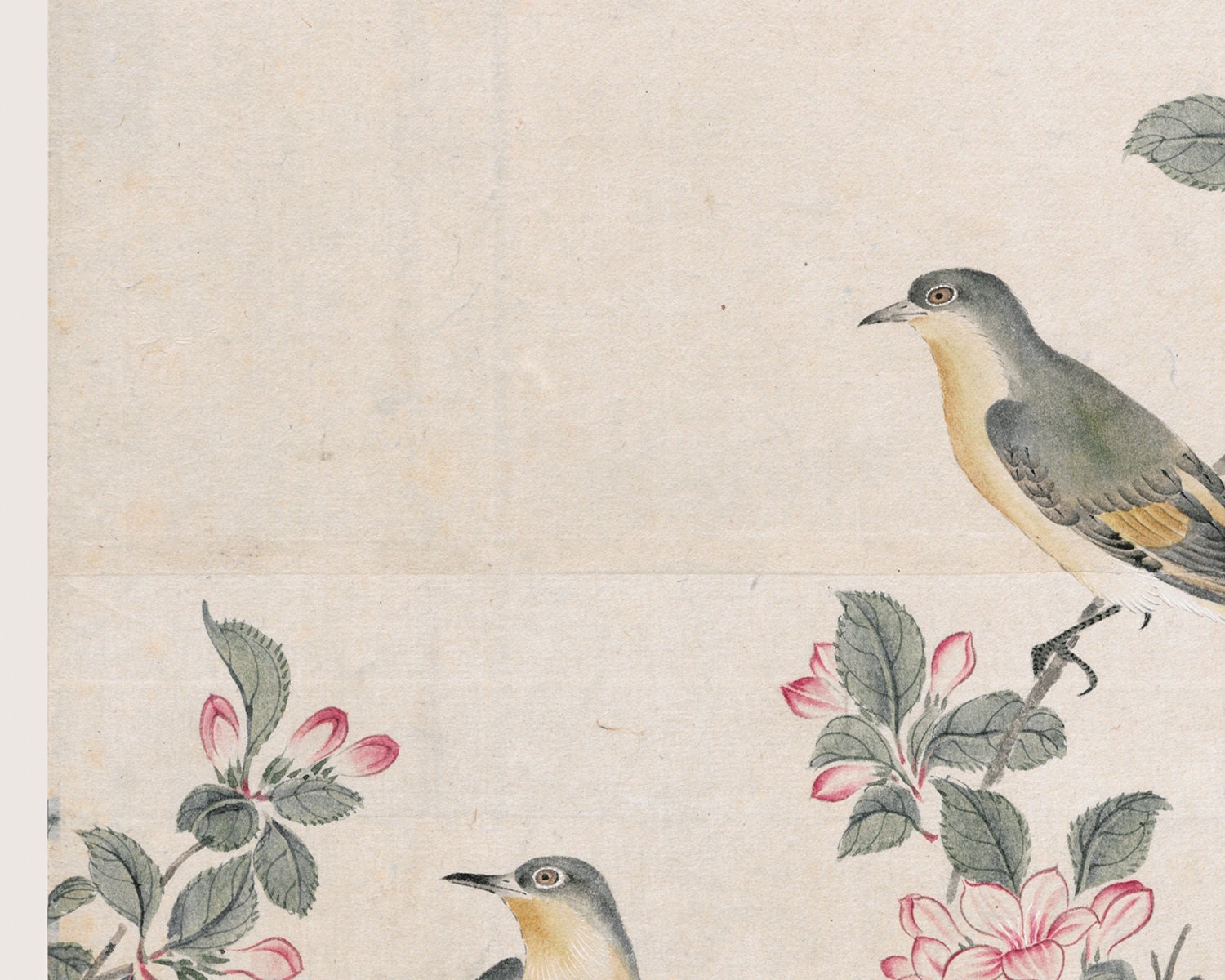 Japanese Bird Art Print / Vintage Art / Botanical Prints / - Etsy
