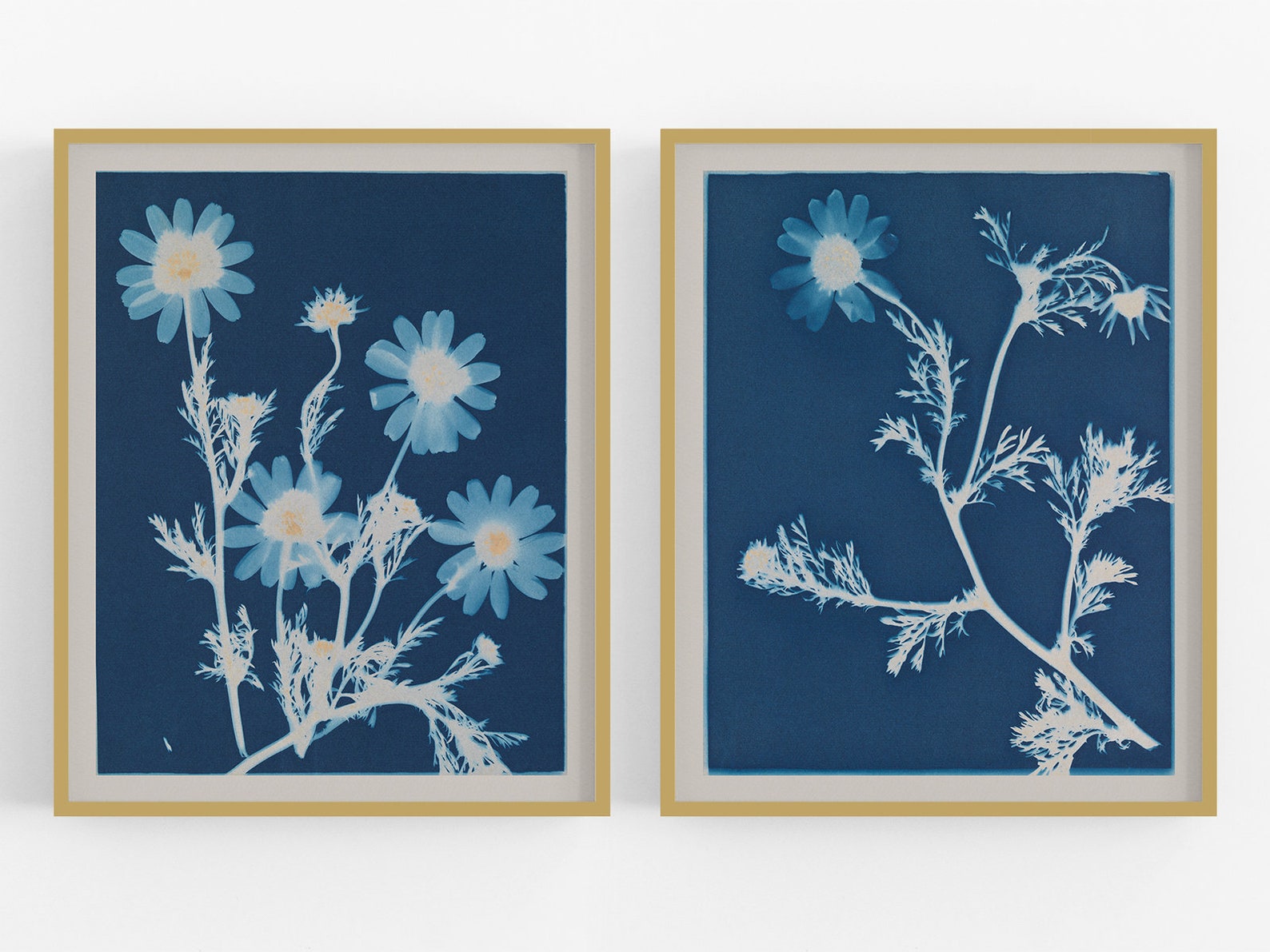 Set of Two Cyanotype Flower Botanical Art Prints / Vintage | Etsy