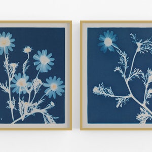 Set of Two Cyanotype Flower Botanical Art Prints / Vintage - Etsy