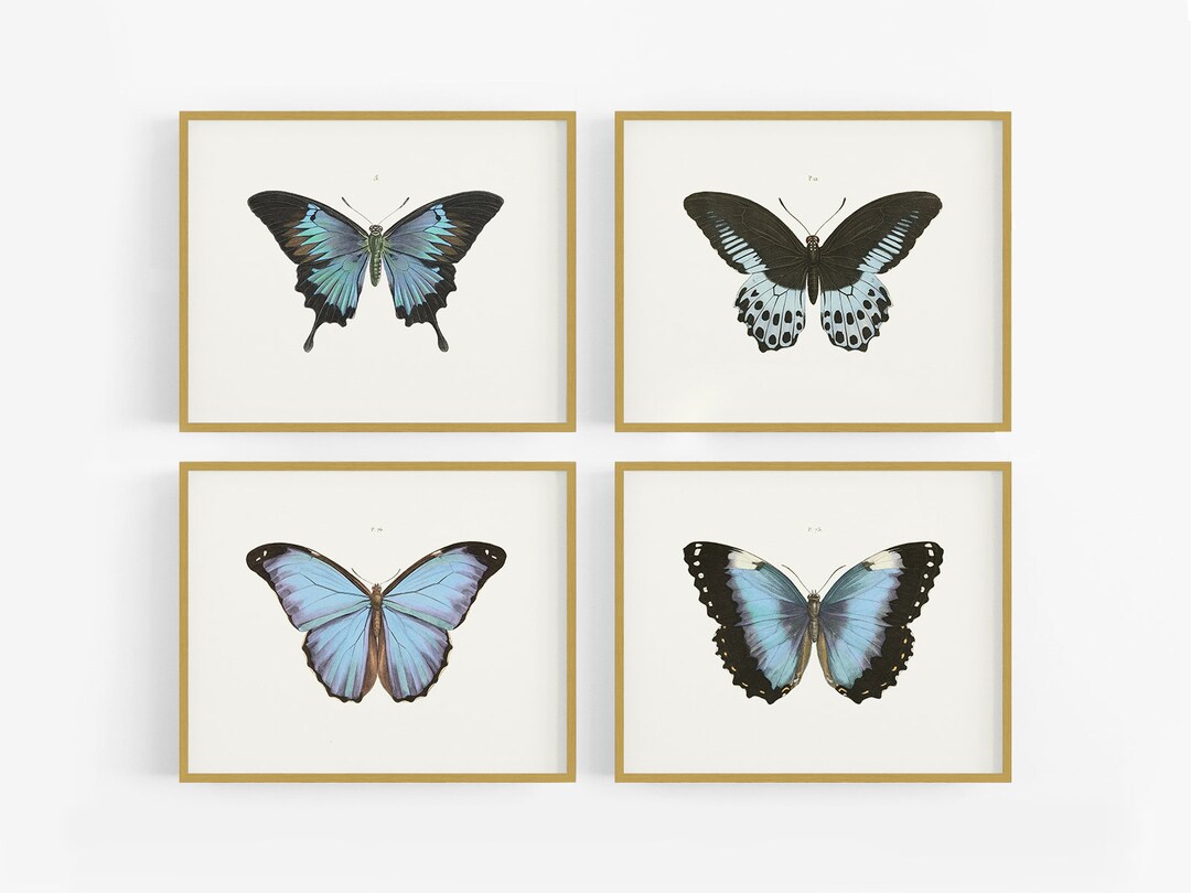 Butterfly Botanical Art Prints - Set of Four / Vintage Art / Botanical ...