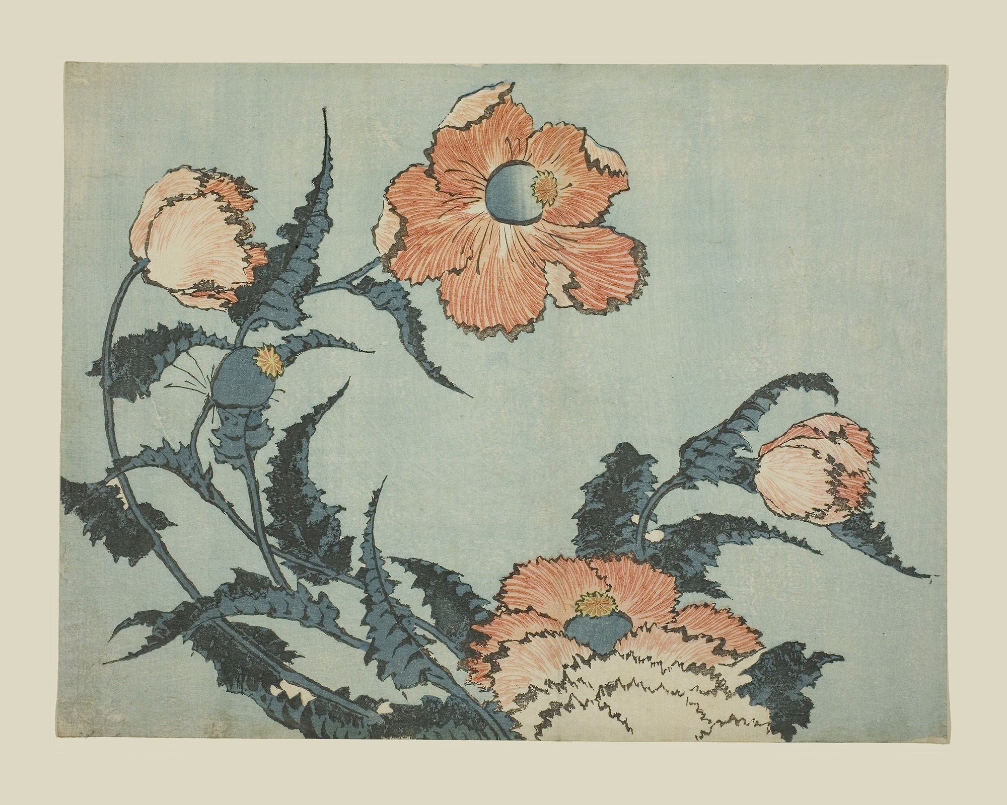 Japanese Art Flowers