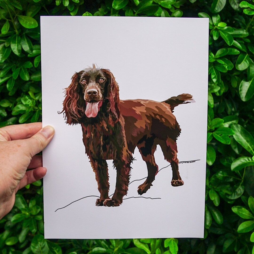 Working Cocker Spaniel Art Print - A4/A3 - Etsy UK