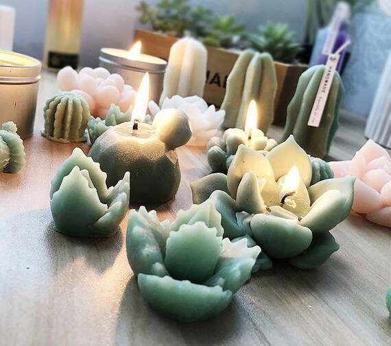 Small Candle Molds 34-Piece Succulent Silicone Mold Set – For Resin ...