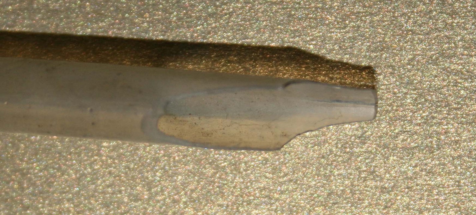 Quill,handcut, for Writing From a Seagull Feather With Ink in a Shell ...