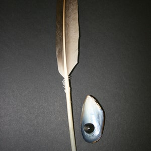 Quill,handcut, for Writing From a Seagull Feather With Ink in a Shell ...