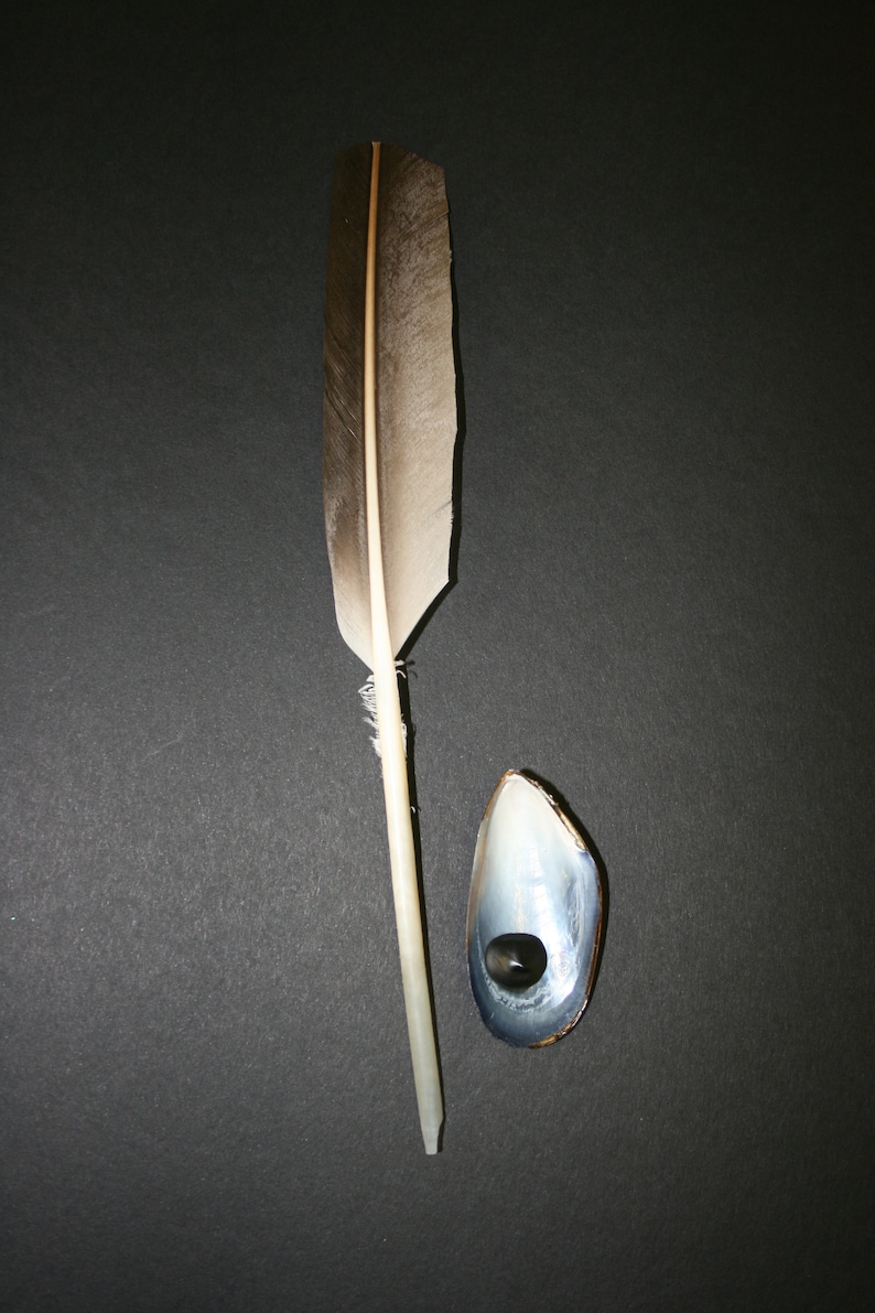 Quill,handcut, for Writing From a Seagull Feather With Ink in a Shell ...