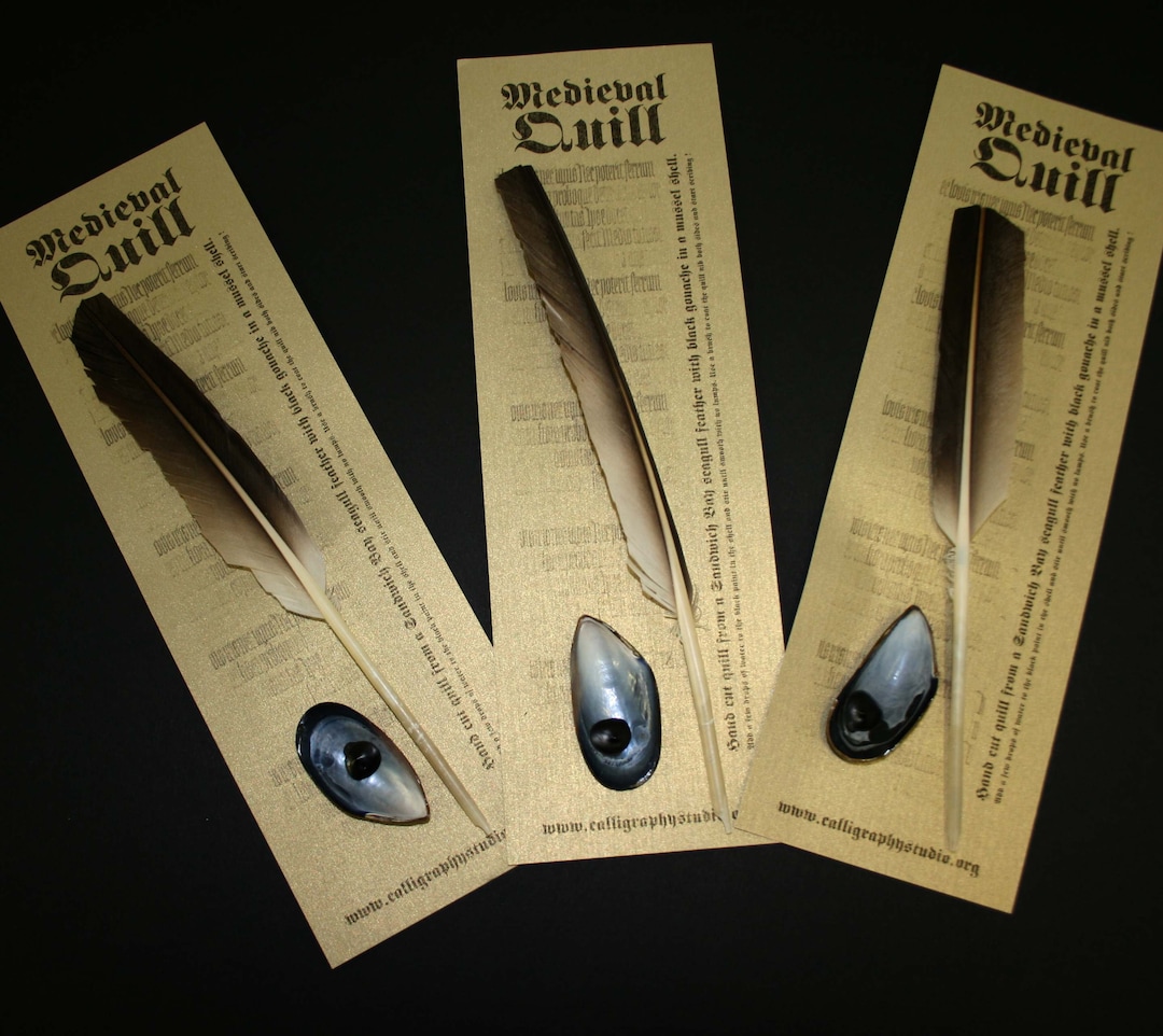 Quill,handcut, for Writing From a Seagull Feather With Ink in a Shell ...