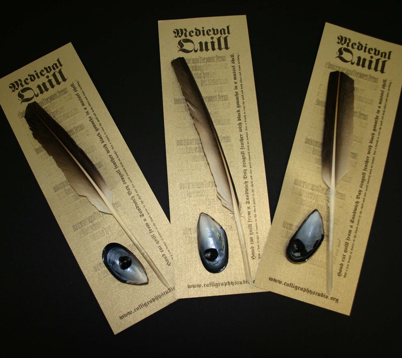Quill,handcut, for Writing From a Seagull Feather With Ink in a Shell ...
