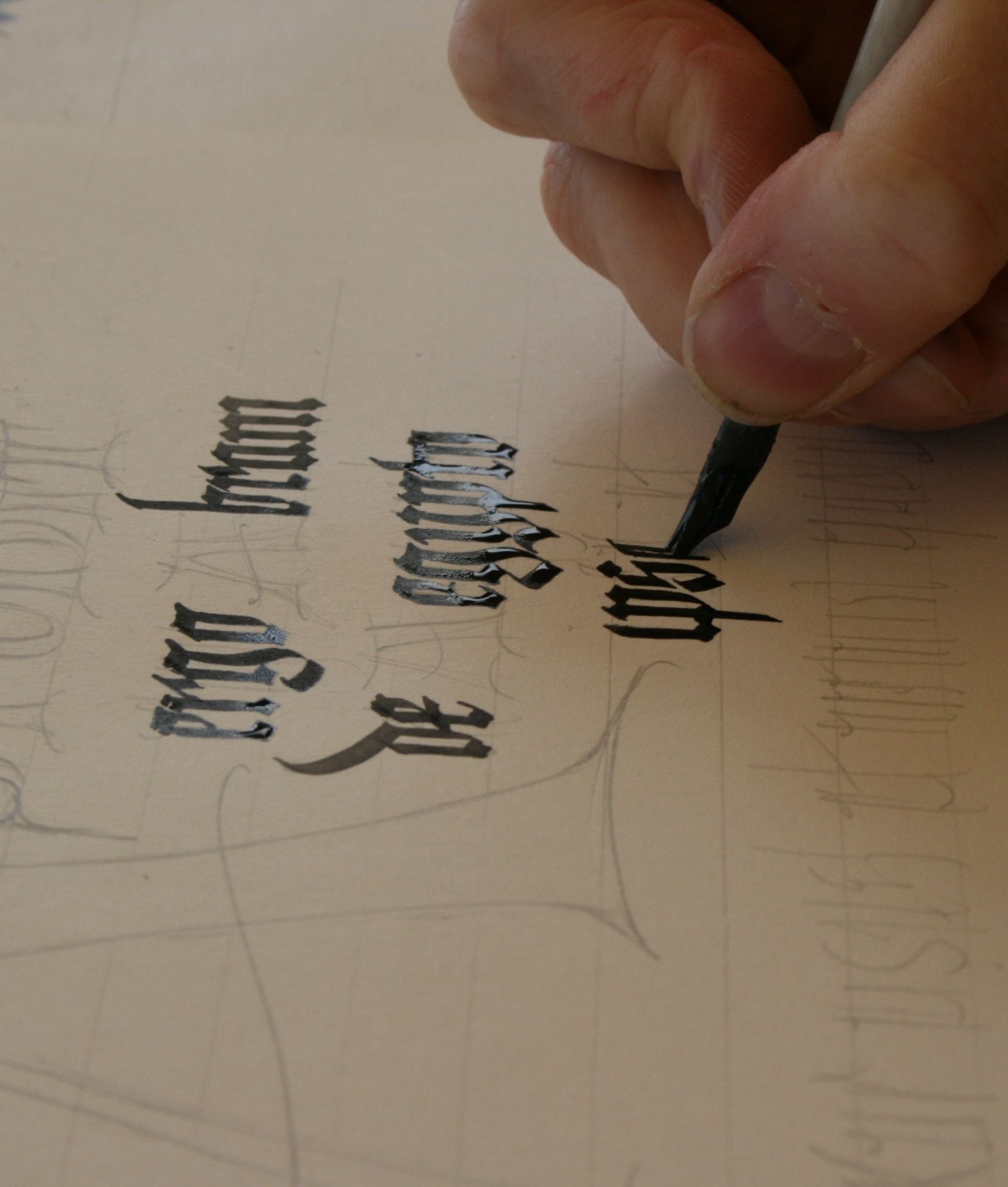 Quill,handcut, for Writing From a Seagull Feather With Ink in a Shell ...