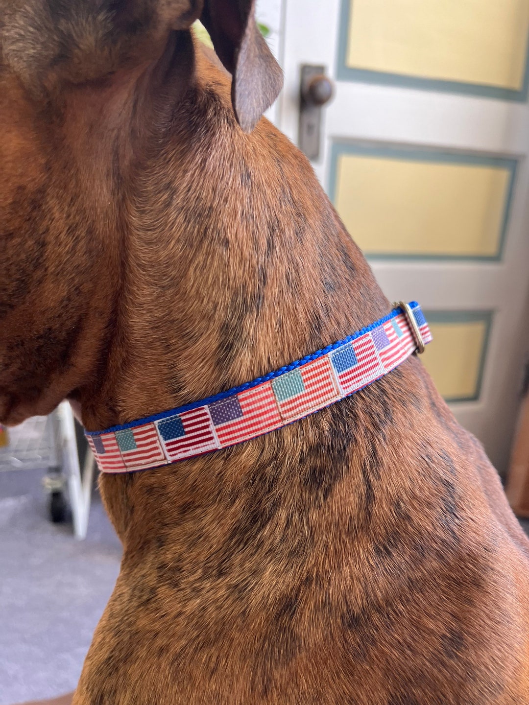 Dog Collar- USA, Vintage American Flag - Etsy