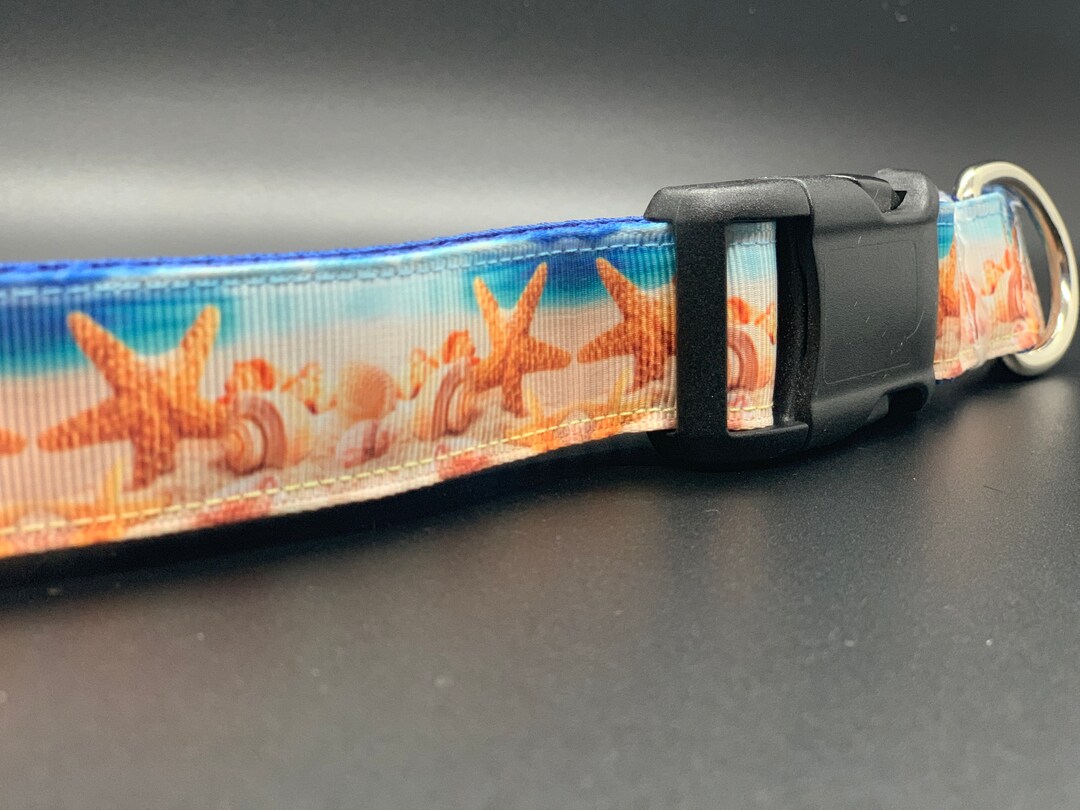 Starfish and Sea Shell Dog Collar, Beach Themed, Blue Sky, Sand - Etsy