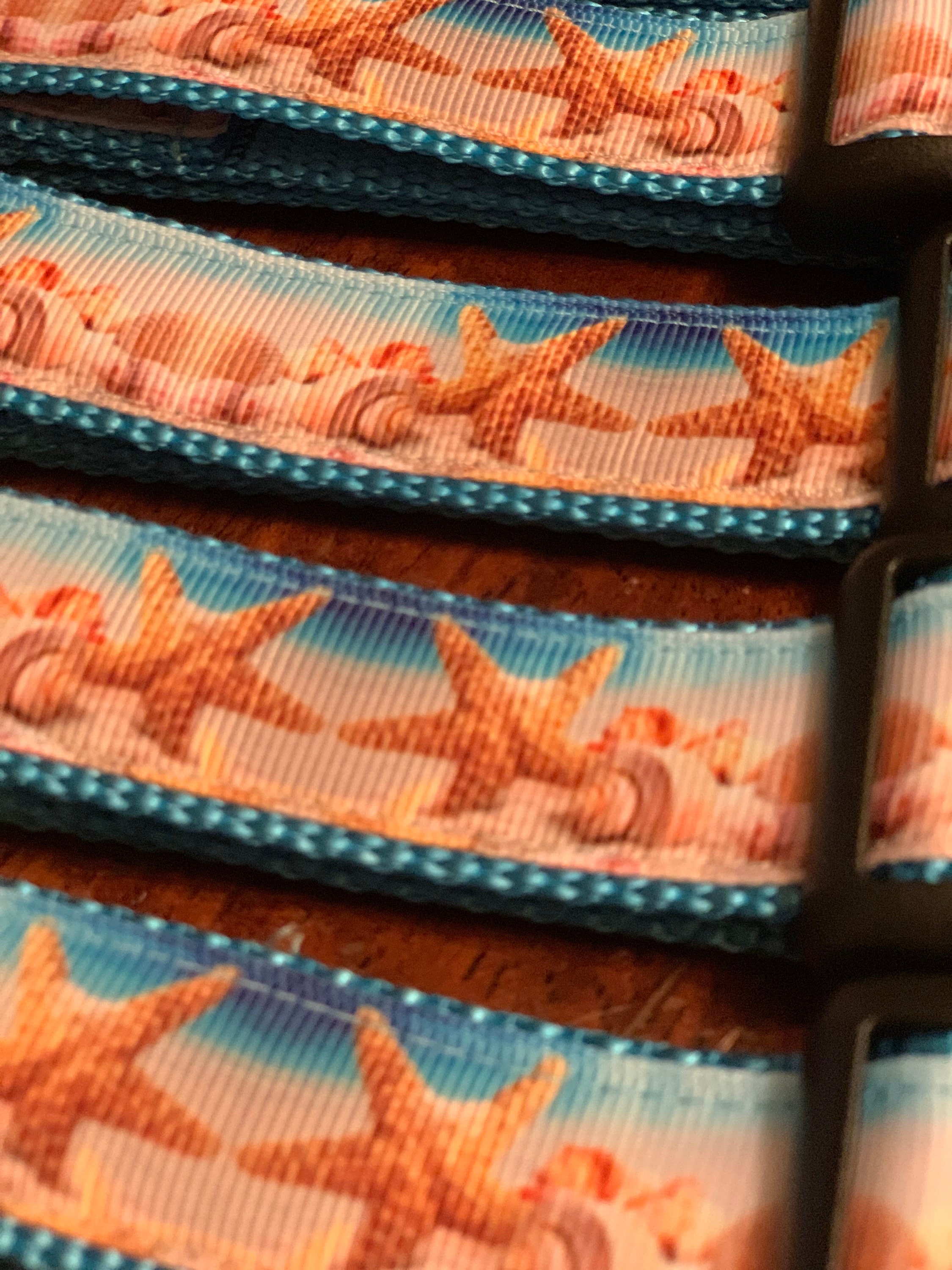 Starfish and Sea Shell Dog Collar, Beach Themed, Blue Sky, Sand, Summer ...