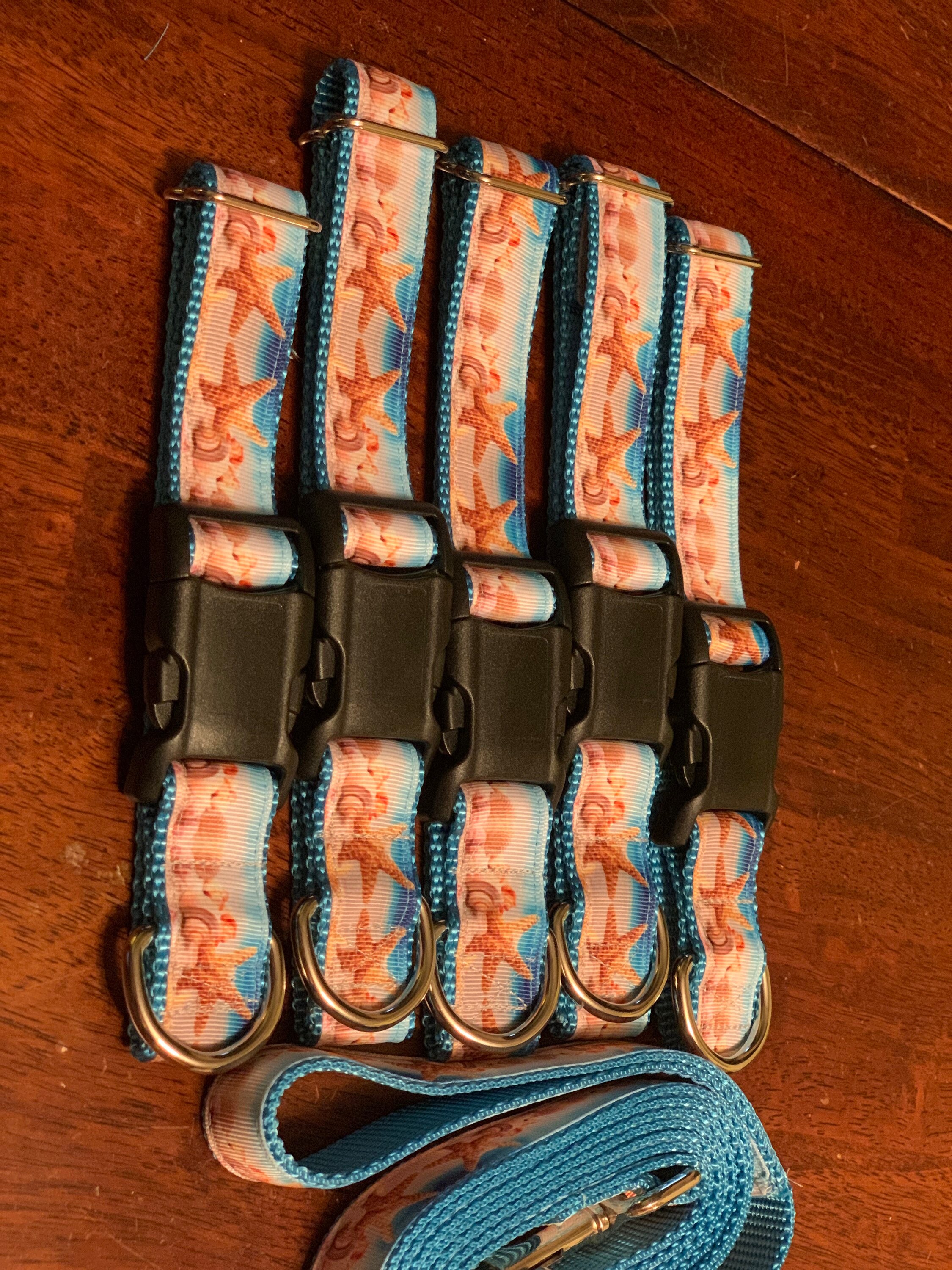 Starfish and Sea Shell Dog Collar, Beach Themed, Blue Sky, Sand, Summer ...