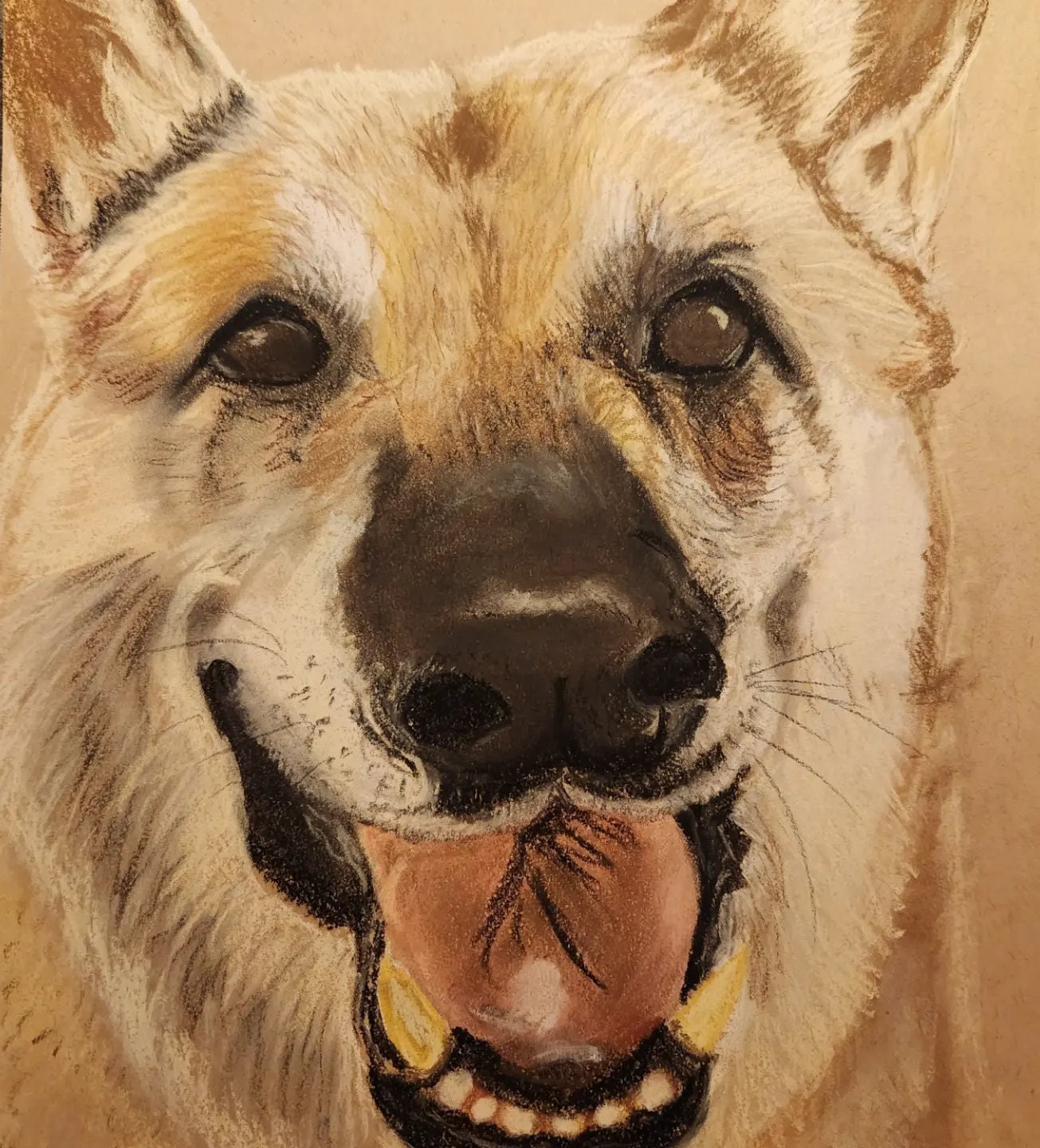 Pet Portraits- Chalk Pastel- Hand Drawn - Etsy