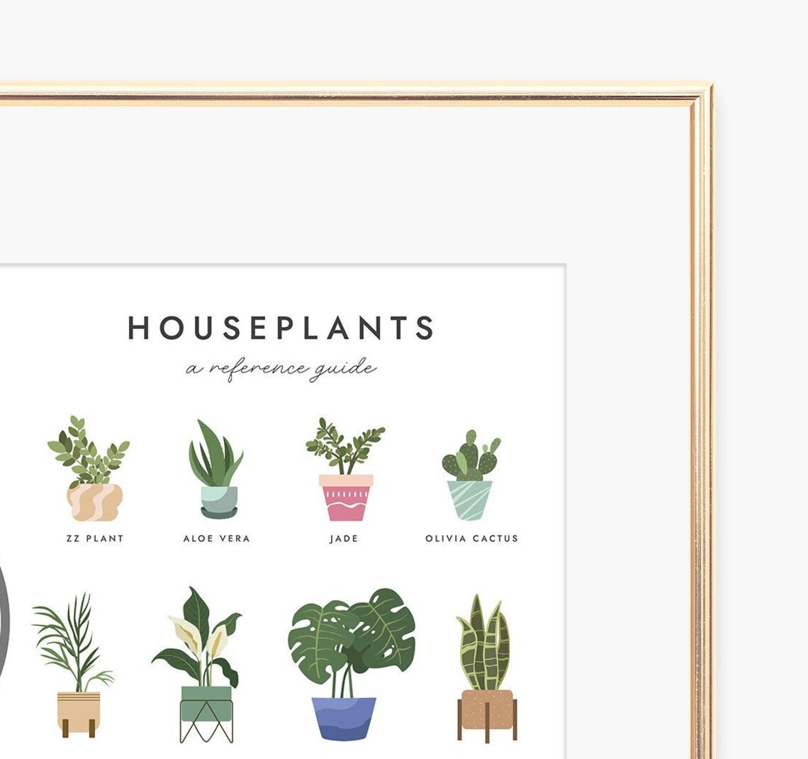 MAILED PRINT Houseplant Guide Plant Art Houseplant - Etsy
