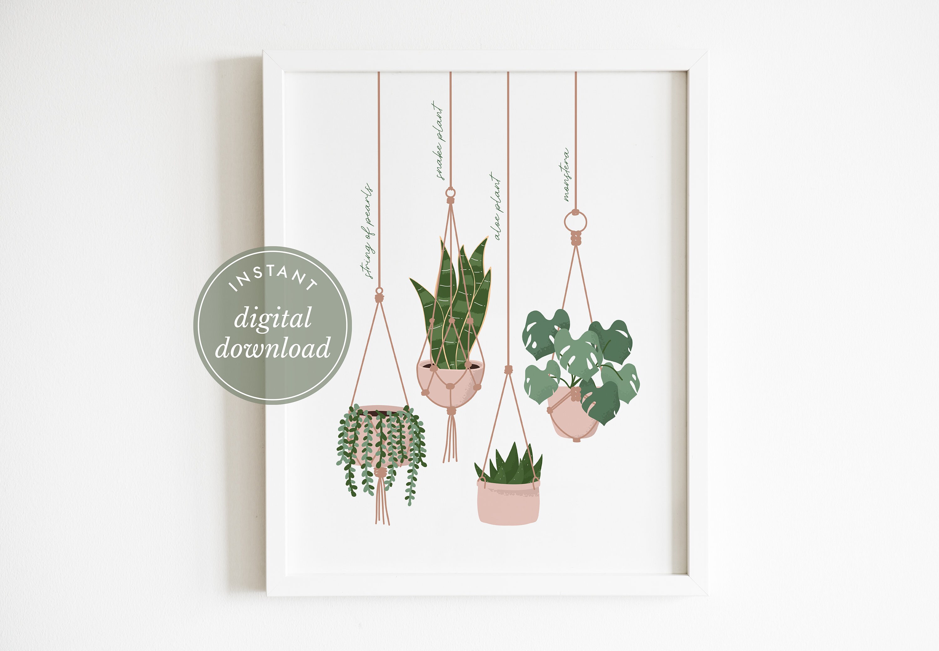 PRINTABLE Hanging Plants Art Plant Print Houseplant Sign | Etsy
