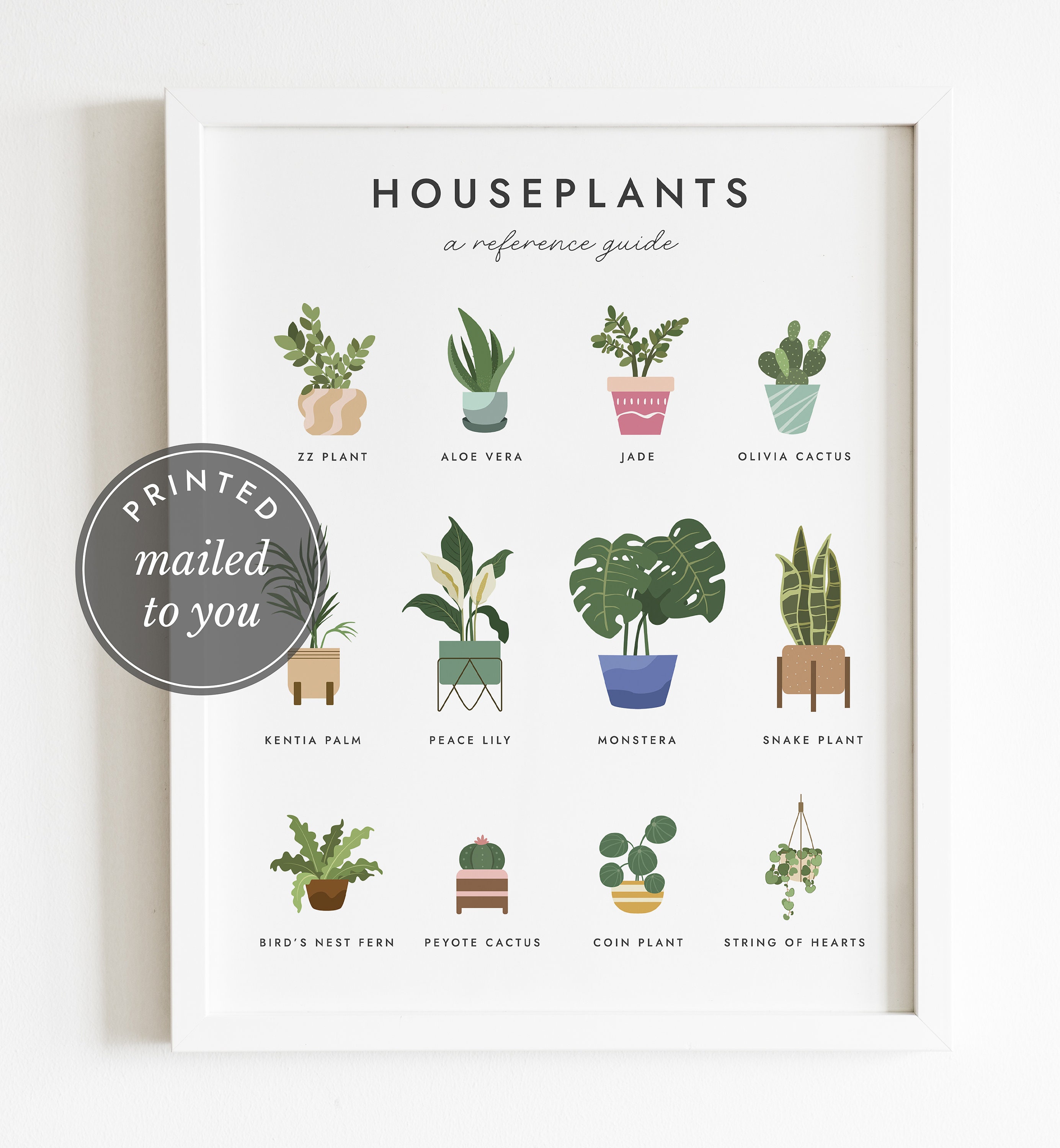MAILED PRINT Houseplant Guide Plant Art Houseplant - Etsy