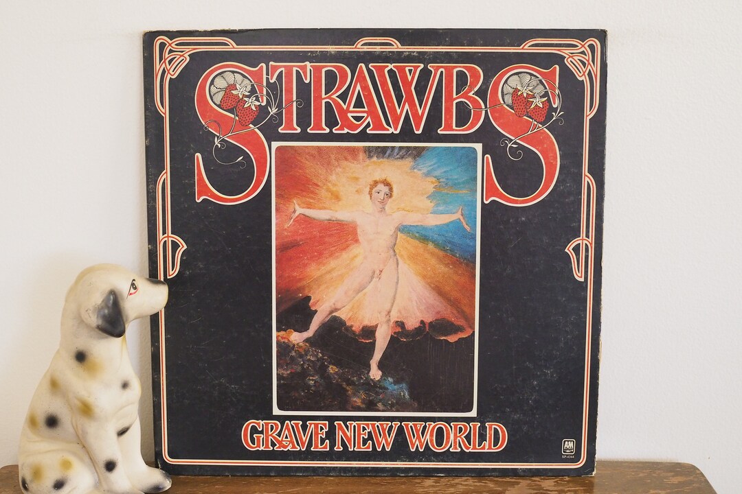 Strawbs Grave New World Lp Vinyl Record Album 33RP A and M Records Sp ...