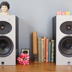 Athena Speakers Audition Series Ebony and Silver Tone Color Excellent ...