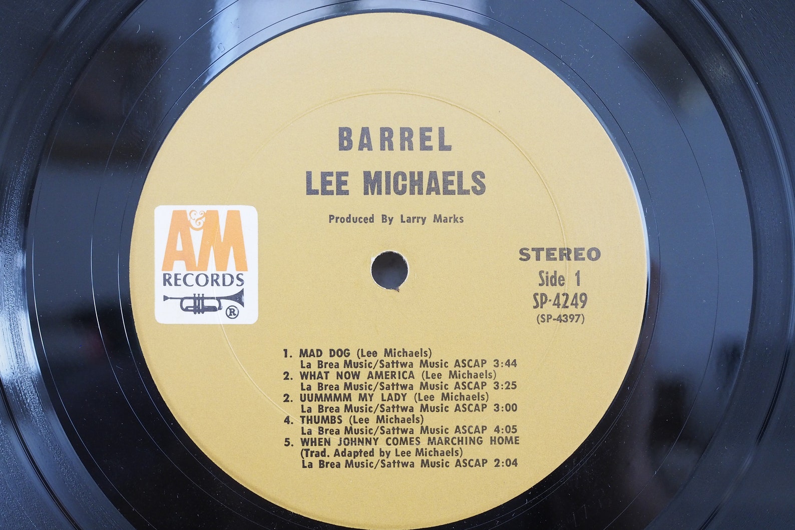 Lee Michaels Barrel Record Album Lp Vinyl Record 33RPM A and M - Etsy