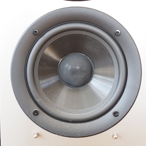 Athena Speakers Audition Series Ebony and Silver Tone Color Excellent ...
