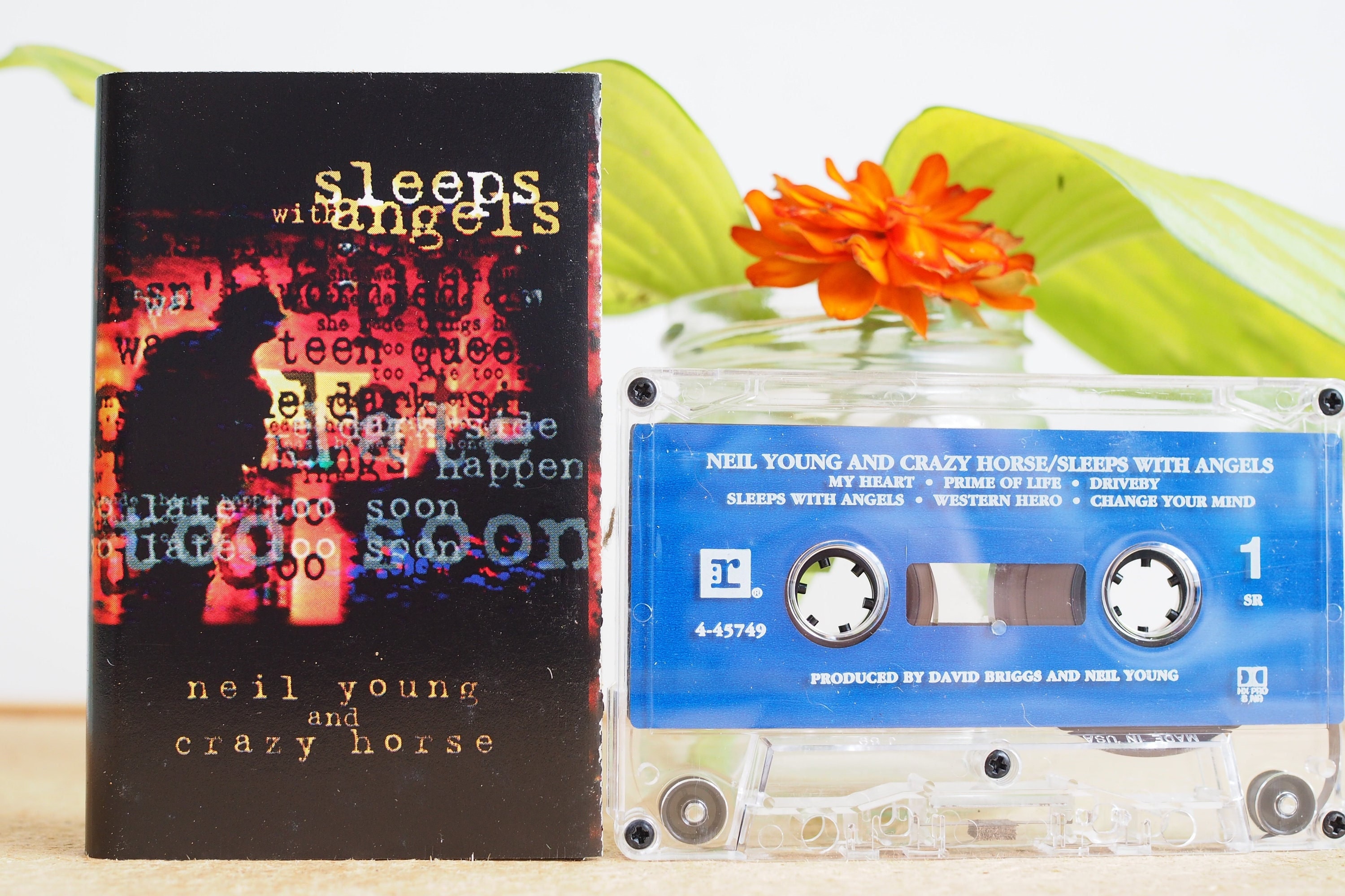 Neil Young Sleeps With Angels