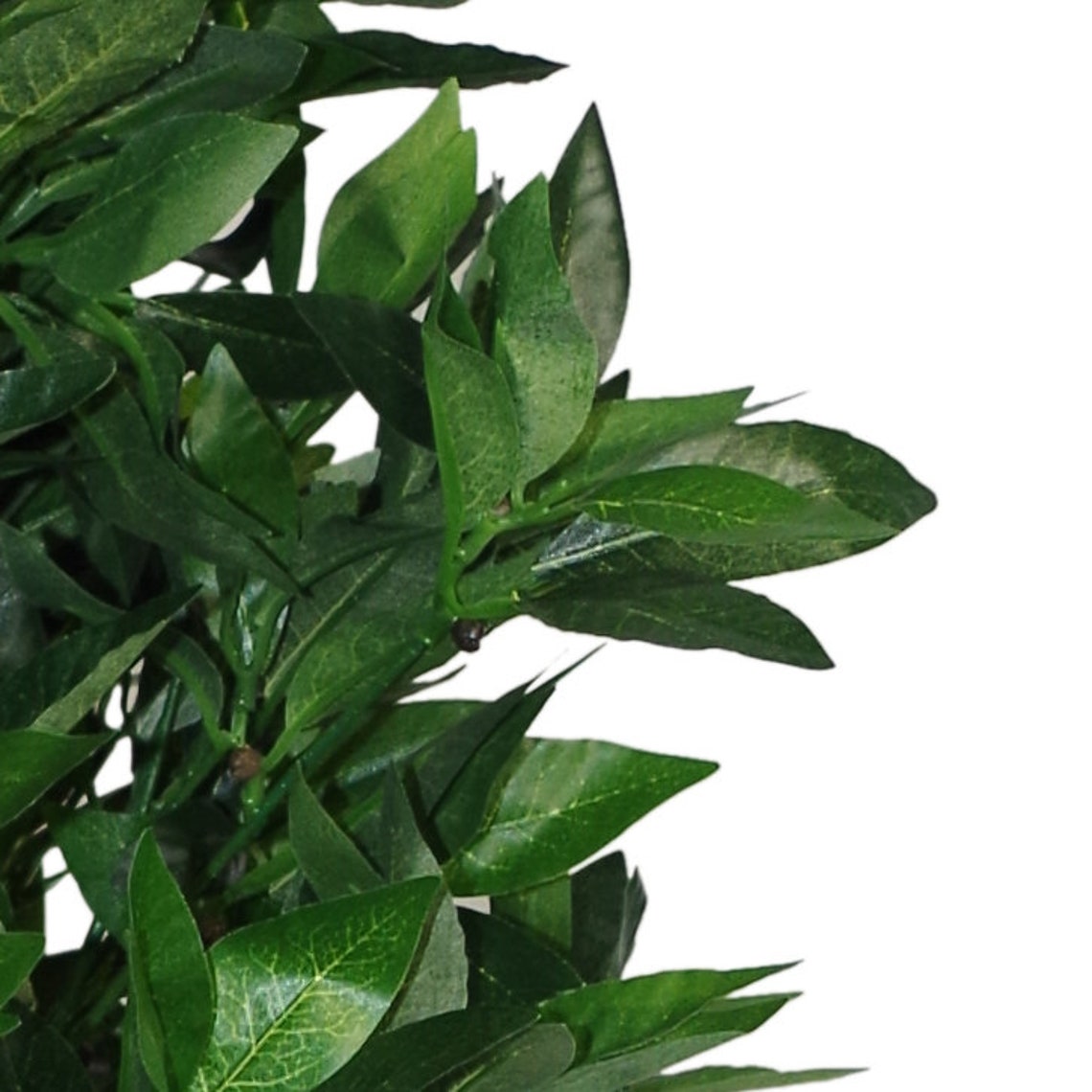 Pair of 120cm (4ft) Artificial Topiary Bay Trees Pyramid Cones - Extra ...