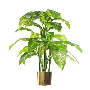 Leaf Metal Planter Plant Pot With Polished Gold Finish 20 X 18cm - Etsy UK