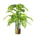 Leaf Metal Planter Plant Pot With Polished Gold Finish 20 X 18cm - Etsy UK