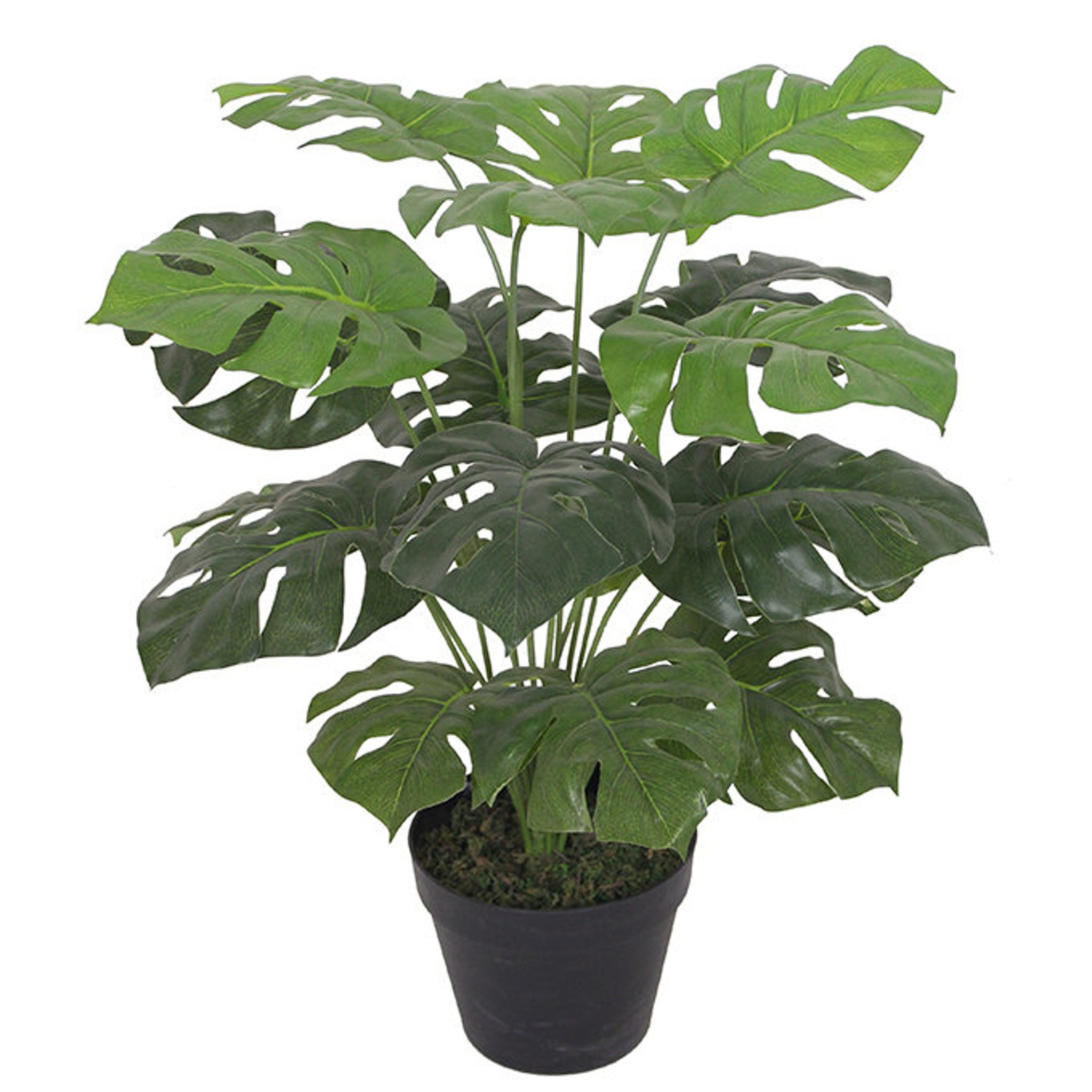Artificial Monstera Plant 60cm Monstera - Etsy UK