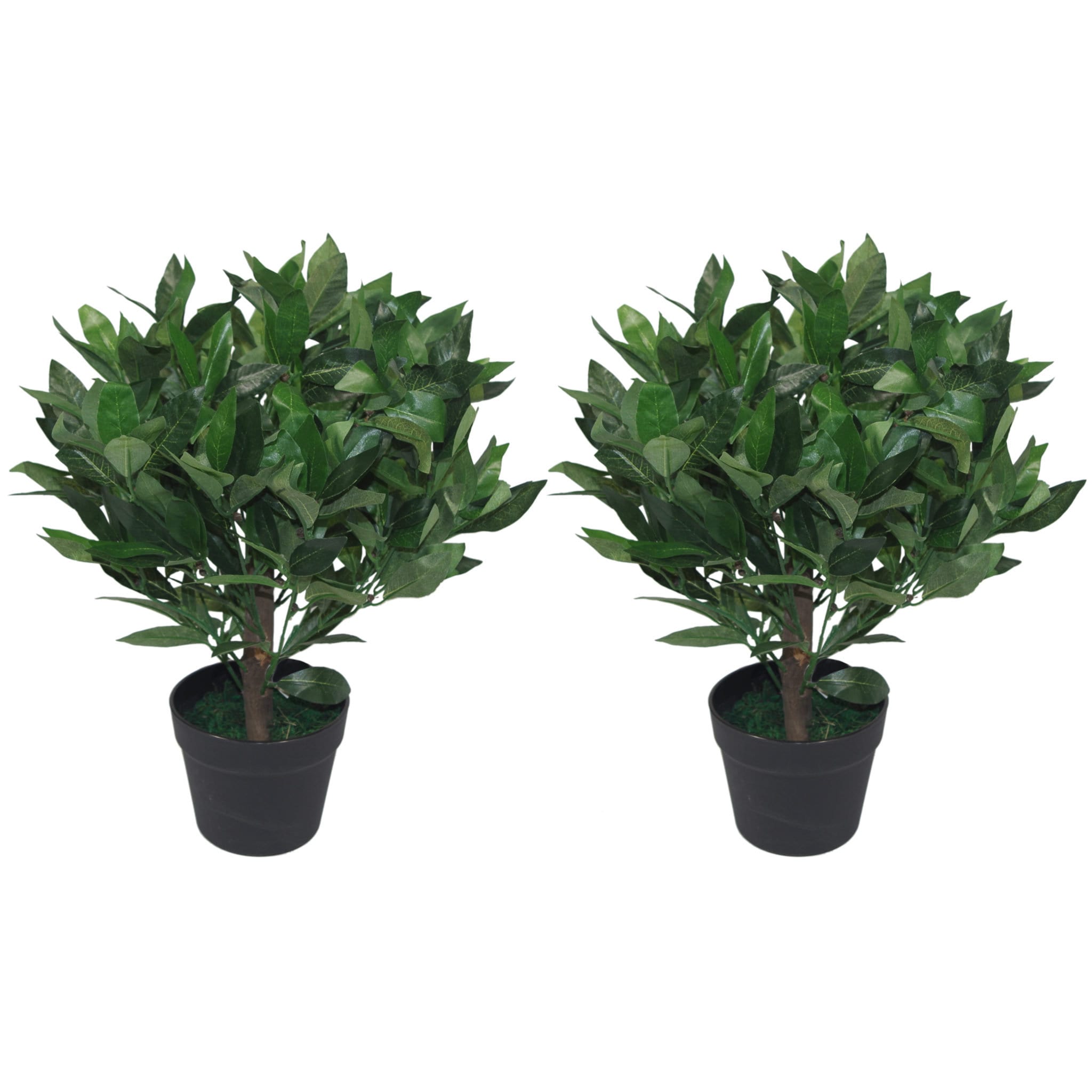 Pair of 50cm Dwarf Artificial Bay Trees Laurel Topiary Bushes - Etsy UK