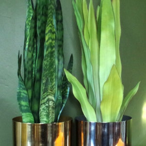 Leaf Metal Planter Plant Pot With Polished Gold Finish 20 X 18cm - Etsy UK
