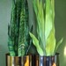 Leaf Metal Planter Plant Pot With Polished Gold Finish 20 X 18cm - Etsy UK