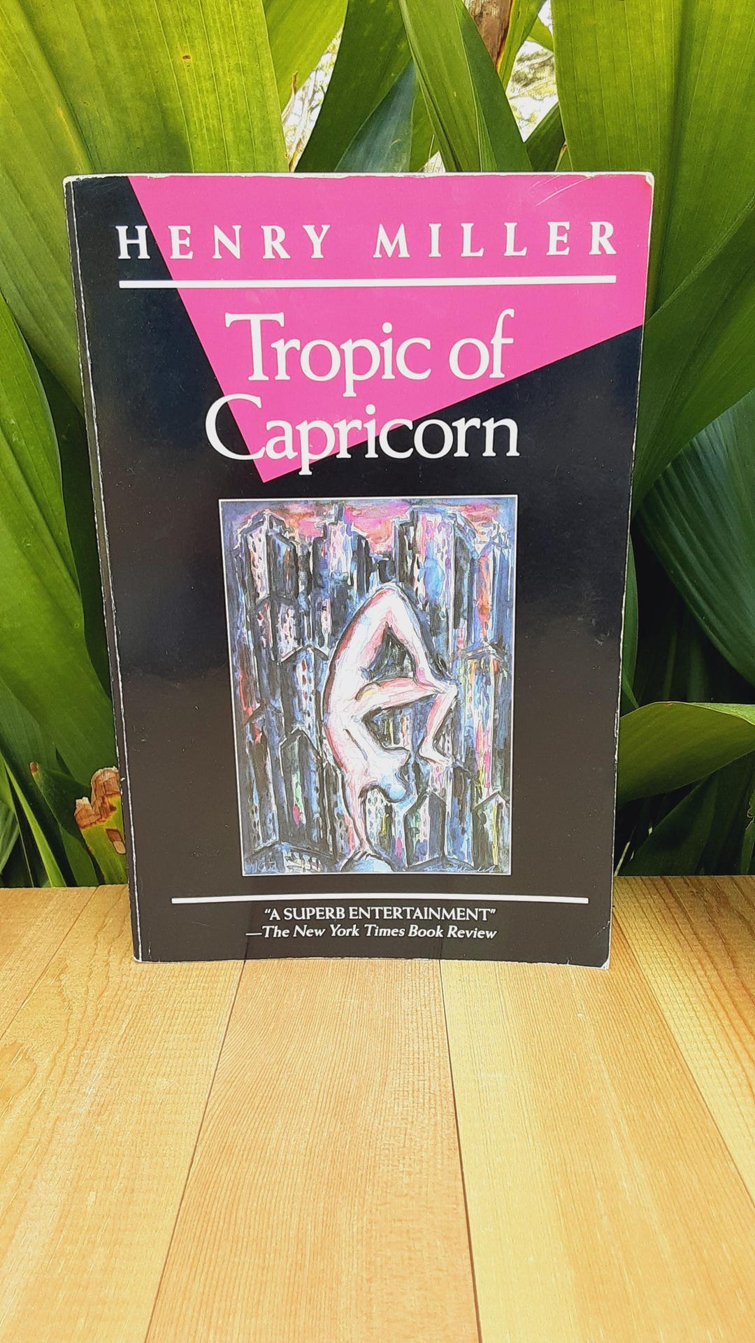 Tropic of Capricorn by Henry Miller - Paperback - Etsy