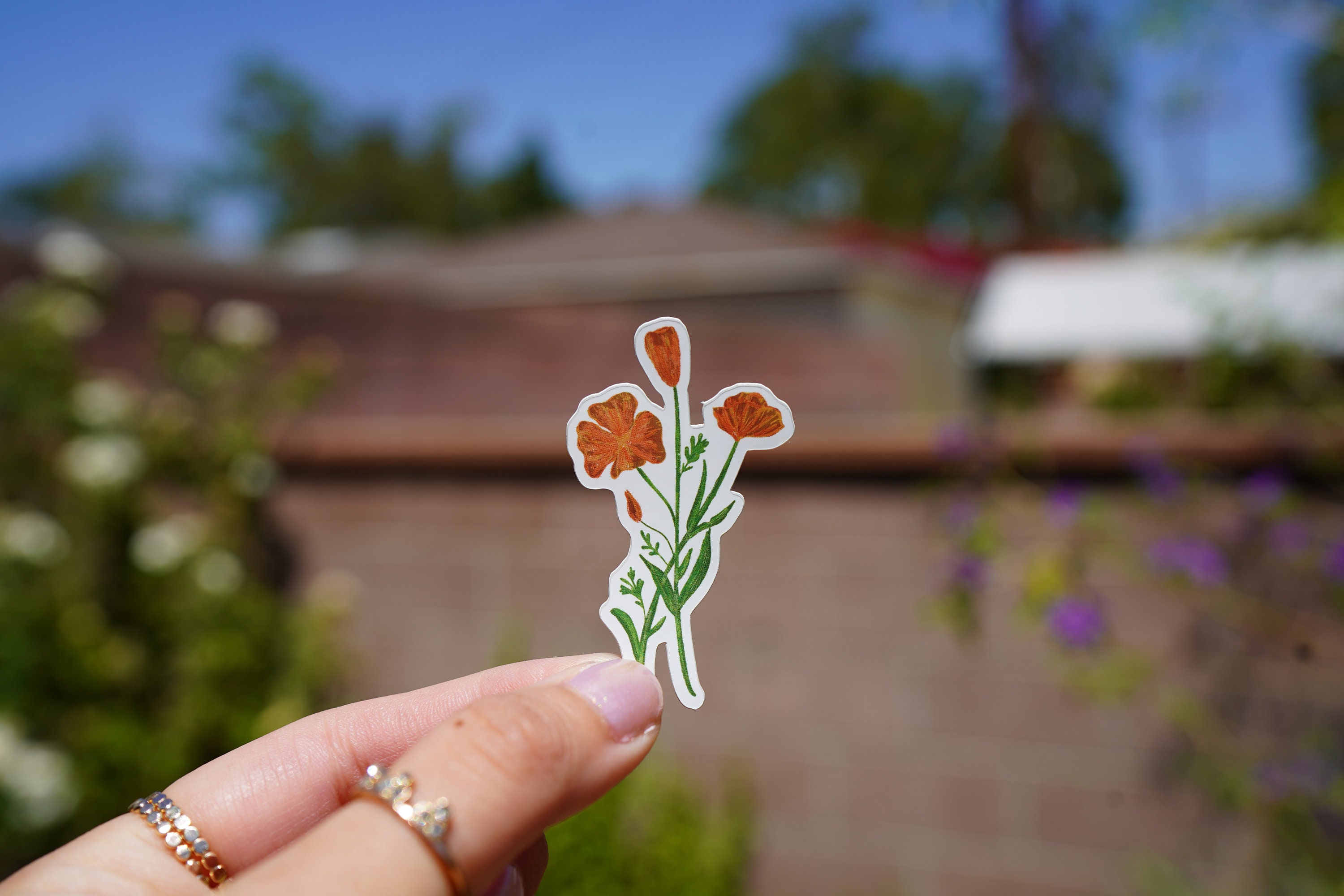 Mini California Poppy Matte Mirror Water Resistant Sticker - Etsy