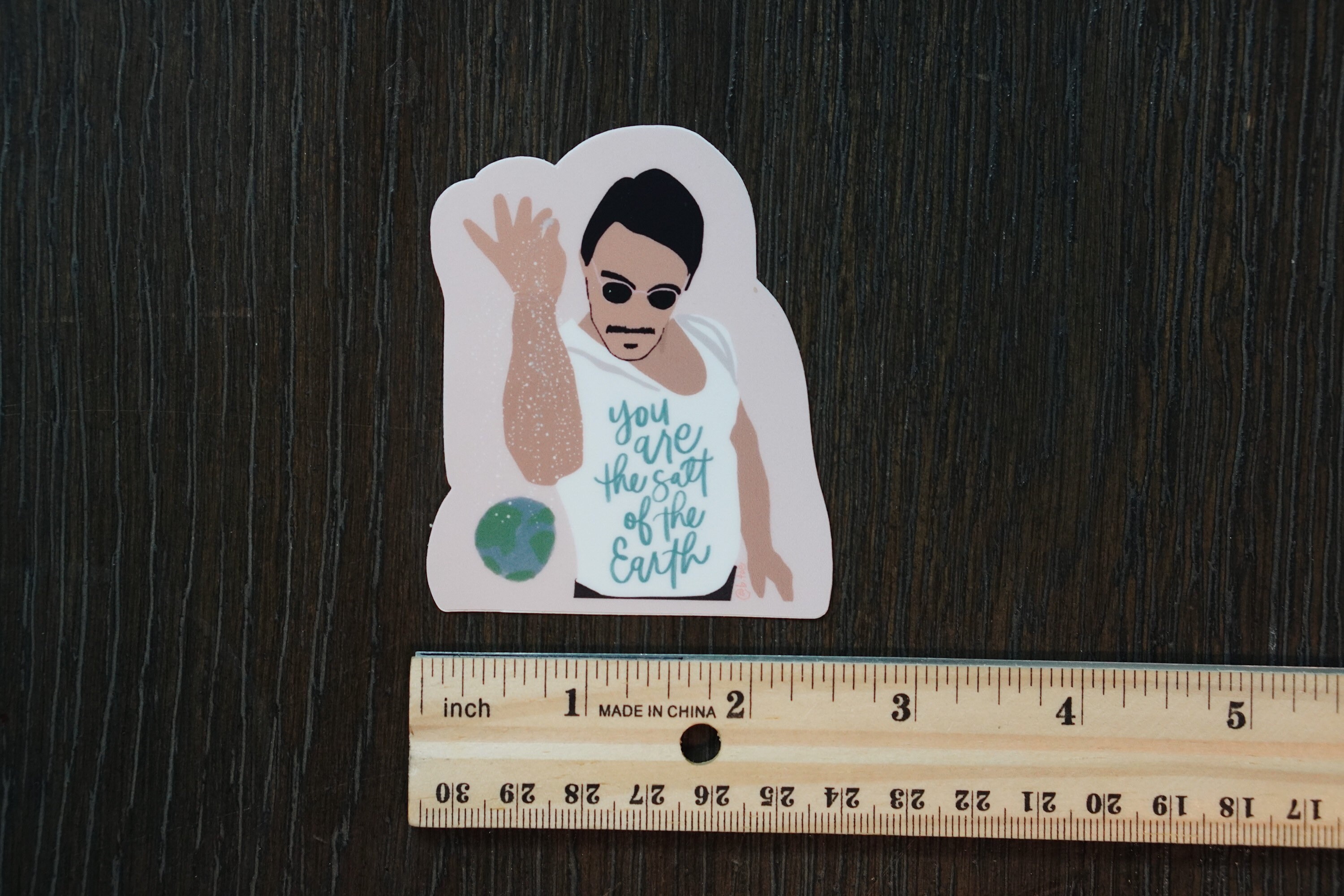 You Are the Salt of the Earth Salt Bae Waterproof Sticker I - Etsy