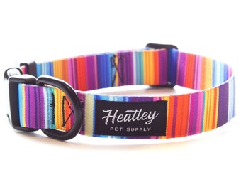 Bright Dog Collar | Etsy