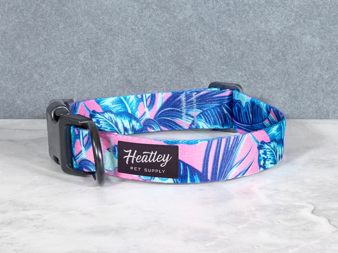 Beach Party Dog Collar - Tropical | Pink | Tropic | Palms - Etsy