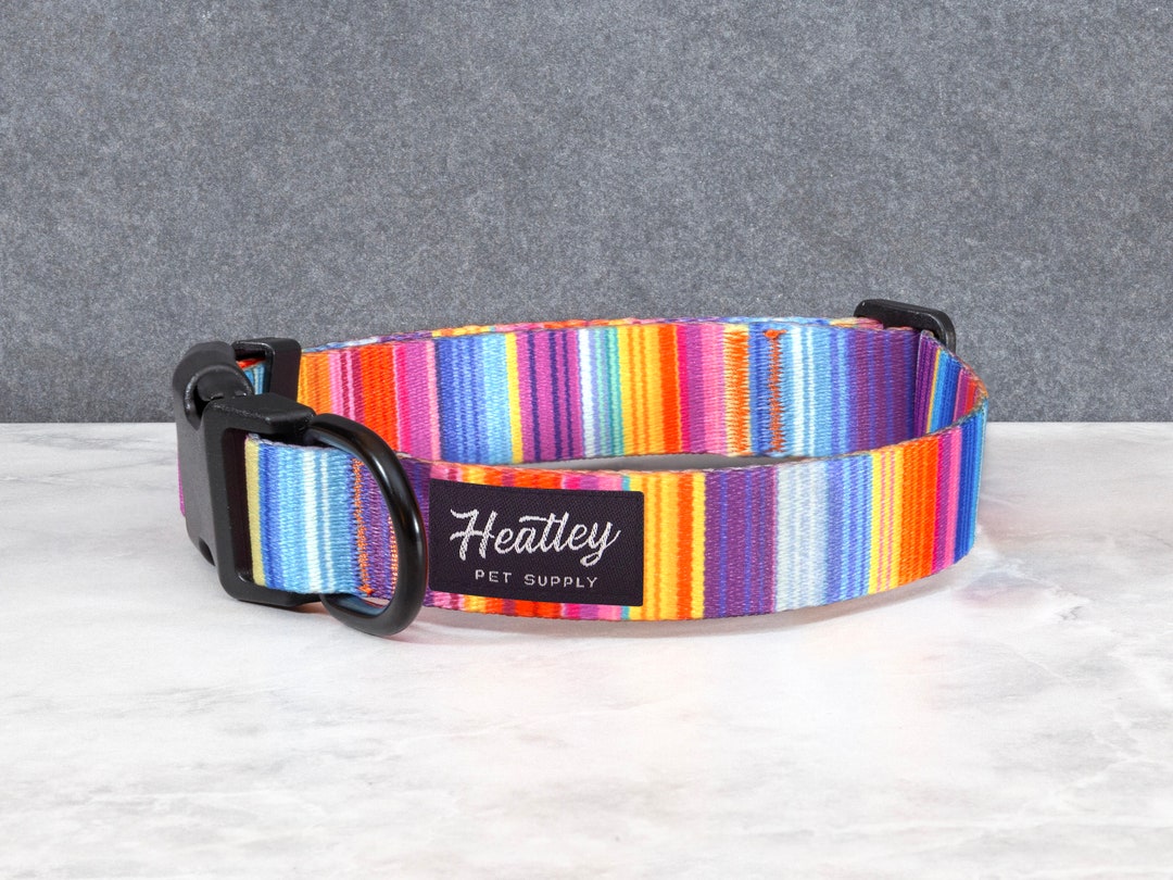Bright Stripes Dog Collar - Pattern | Colorful | Modern - Etsy