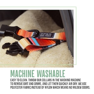 Personalized Dog Collar With Custom Name Patch - Etsy