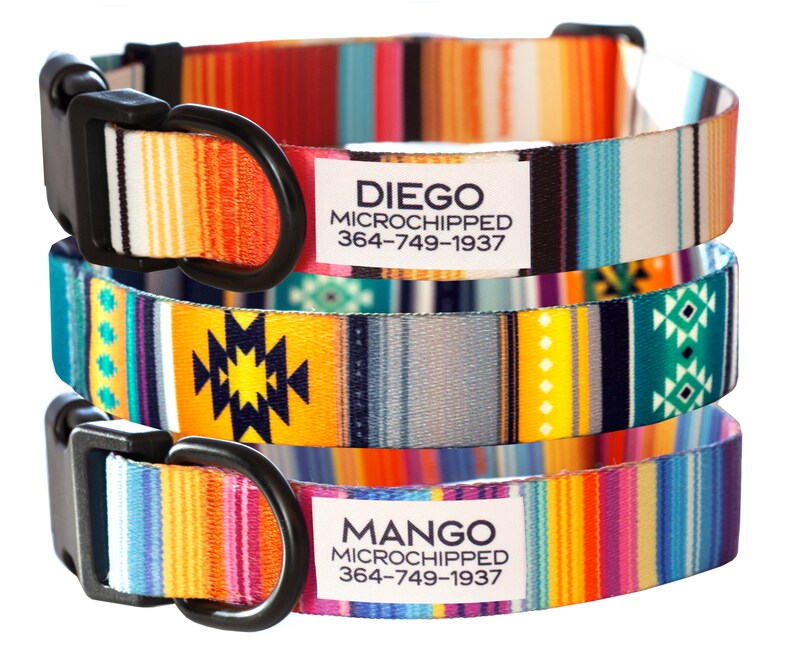 Personalized Dog Collar Customized Personalize Custom - Etsy