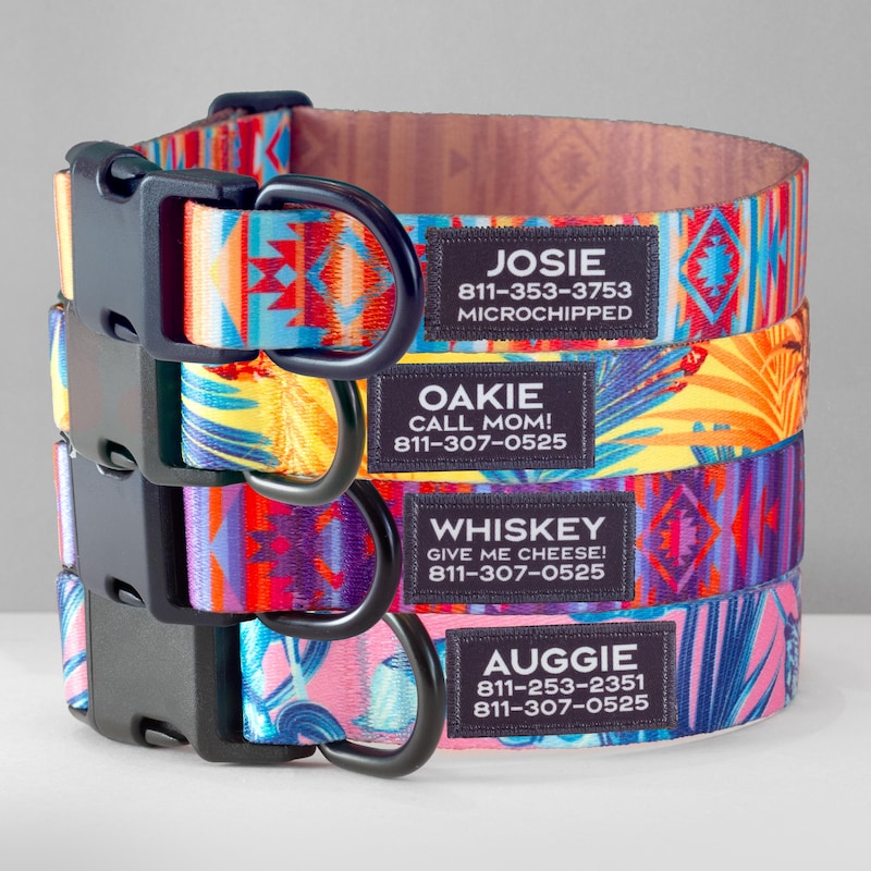 Custom Dog Collars - Etsy