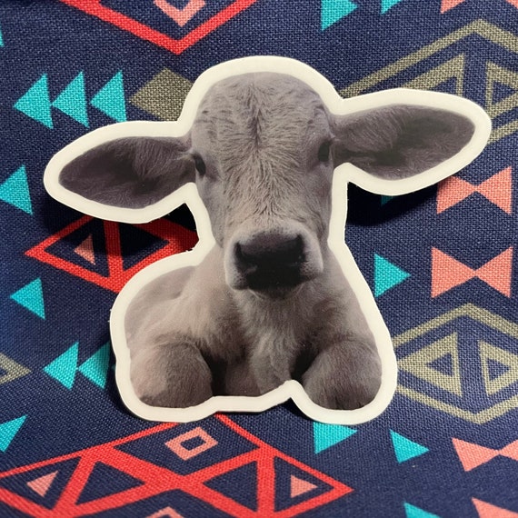 Cute Baby Calf Sticker Cow Sticker Vinyl Tumbler Sticker | Etsy