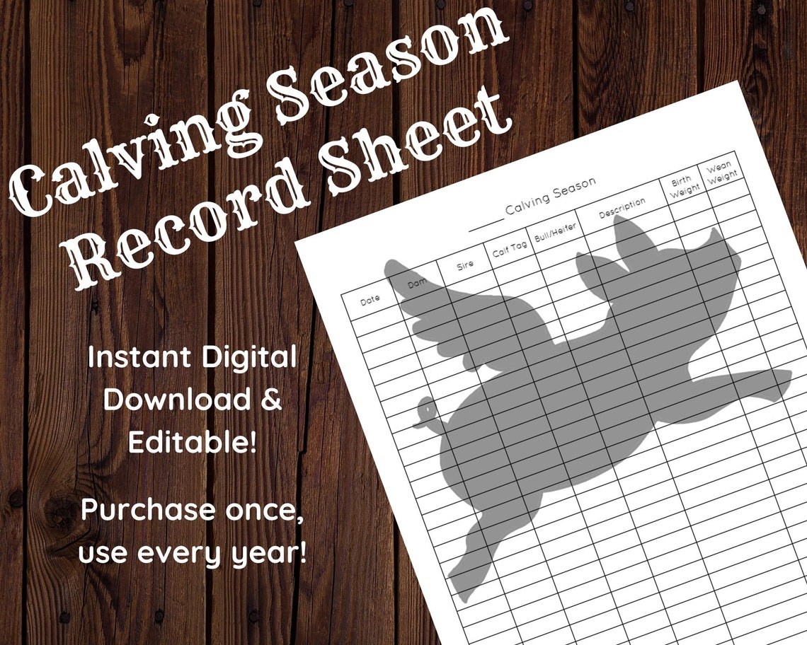 Calving Season Record Sheet - Instant Digital Download - Editable ...