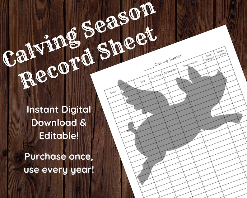 Calving Season Record Sheet - Instant Digital Download - Editable ...