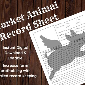 Market Animal Record Sheet - Editable! Instant Digital Download ...