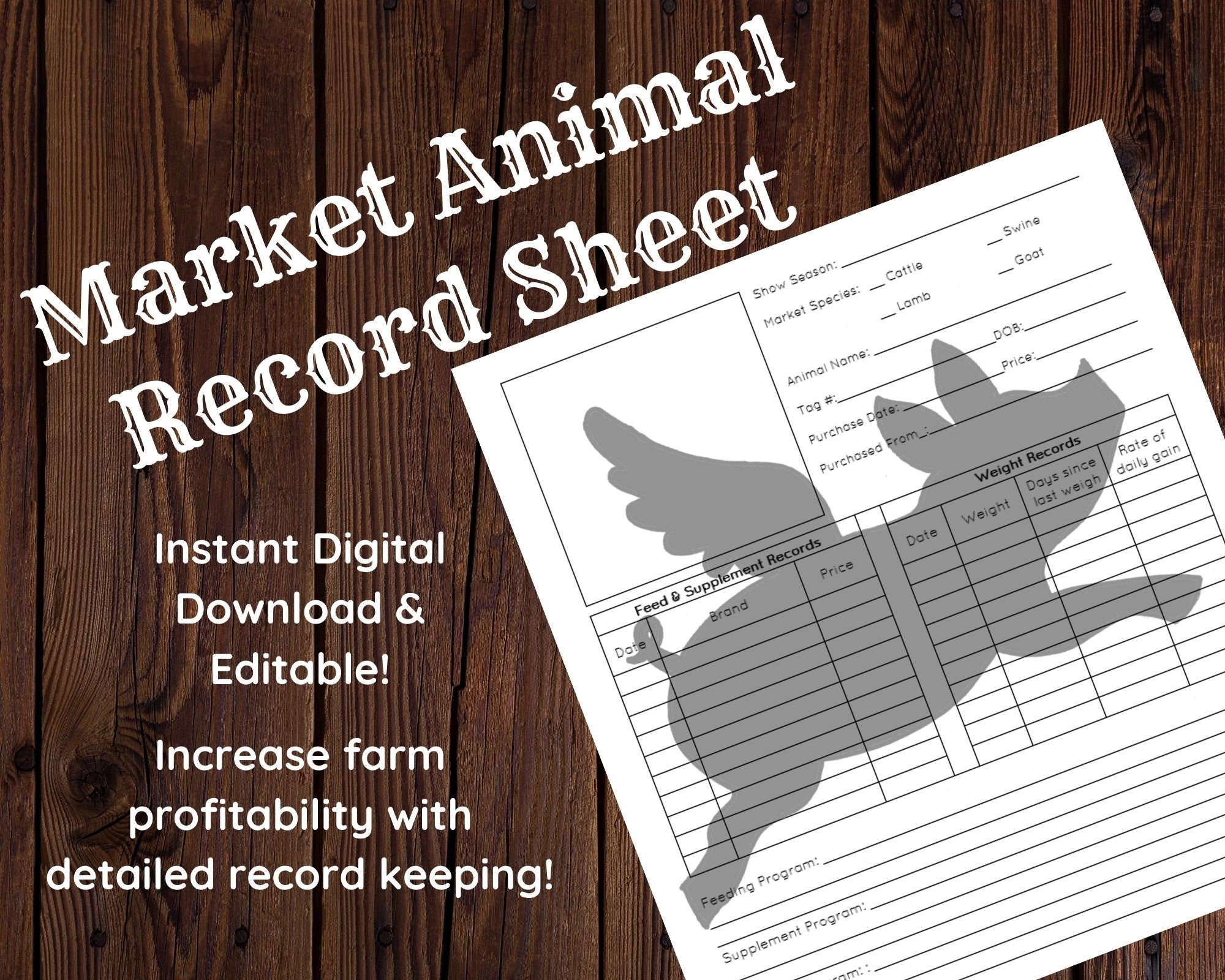Market Animal Record Sheet - Editable! Instant Digital Download ...