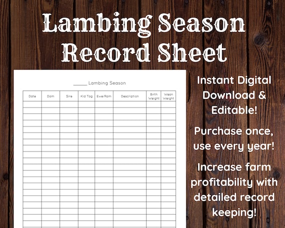 Lambing Season Instant Digital Download Editable Farm - Etsy