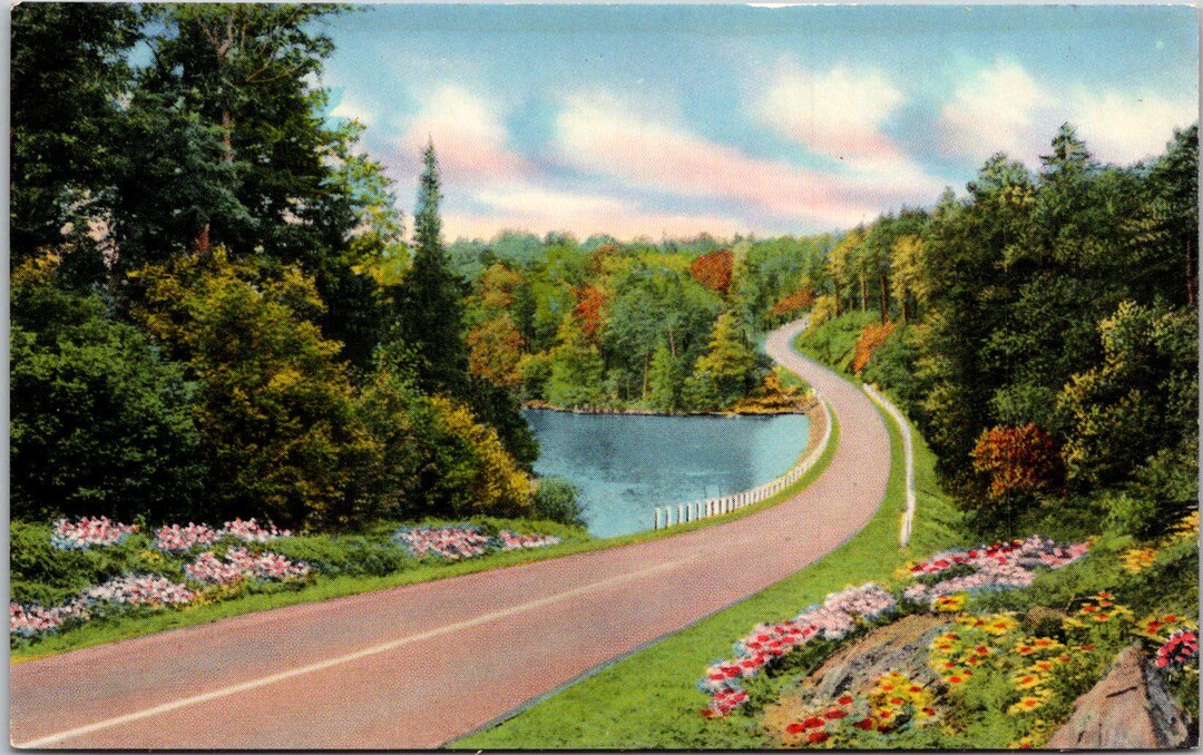 Postcard Country Road Along Quiet Lake Spring Summer Flowers and Trees ...